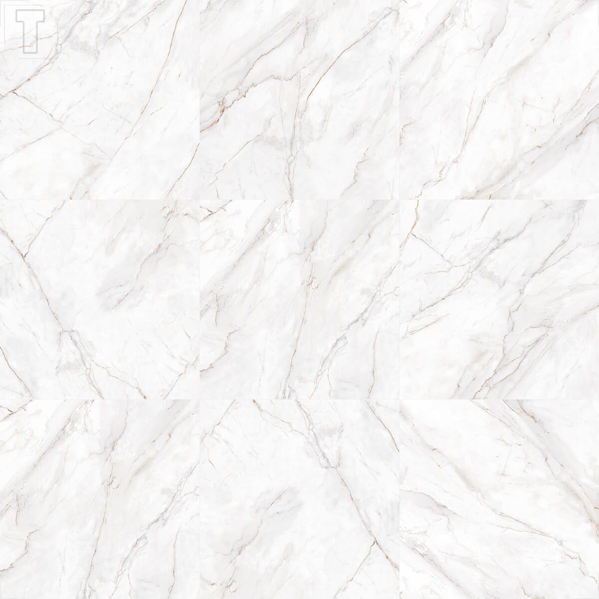 PORCELANATO CASTELLI 121X121 RETIFICADO POLIDO MASTER CASTEL TASSO LUX ...