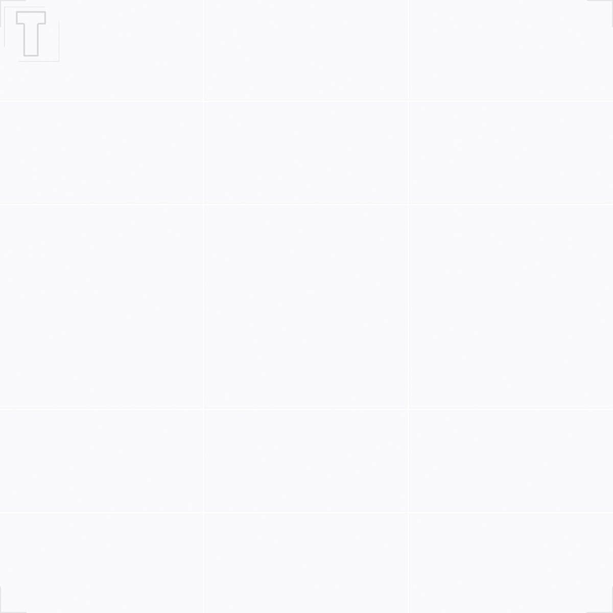 REVESTIMENTO DELTA 35X71 RETIFICADO POLIDO BRANCO 2540-A