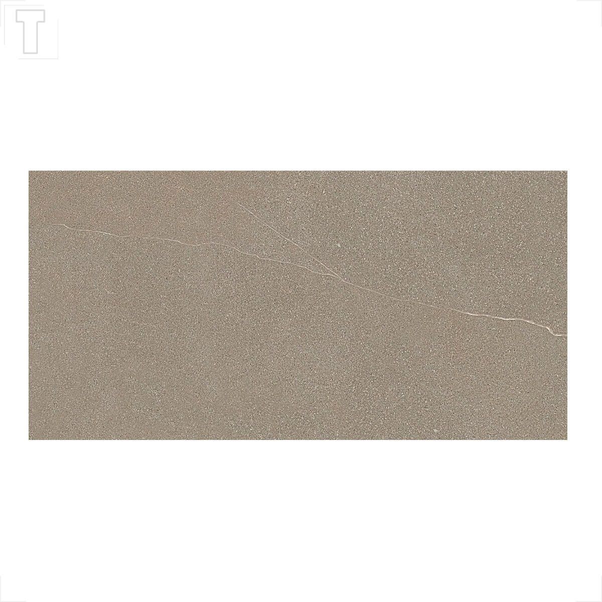 PORCELANATO PORTINARI 58,4X117 RETIFICADO APOGEU DGR POLIDO 6061776A