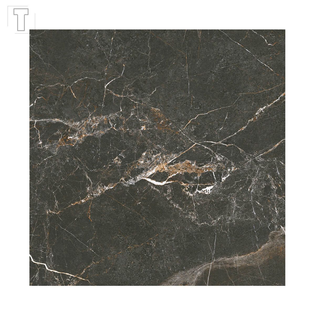 PORCELANATO CEUSA 100X100 RETIFICADO POLIDO IMPERIO BK 5062326A